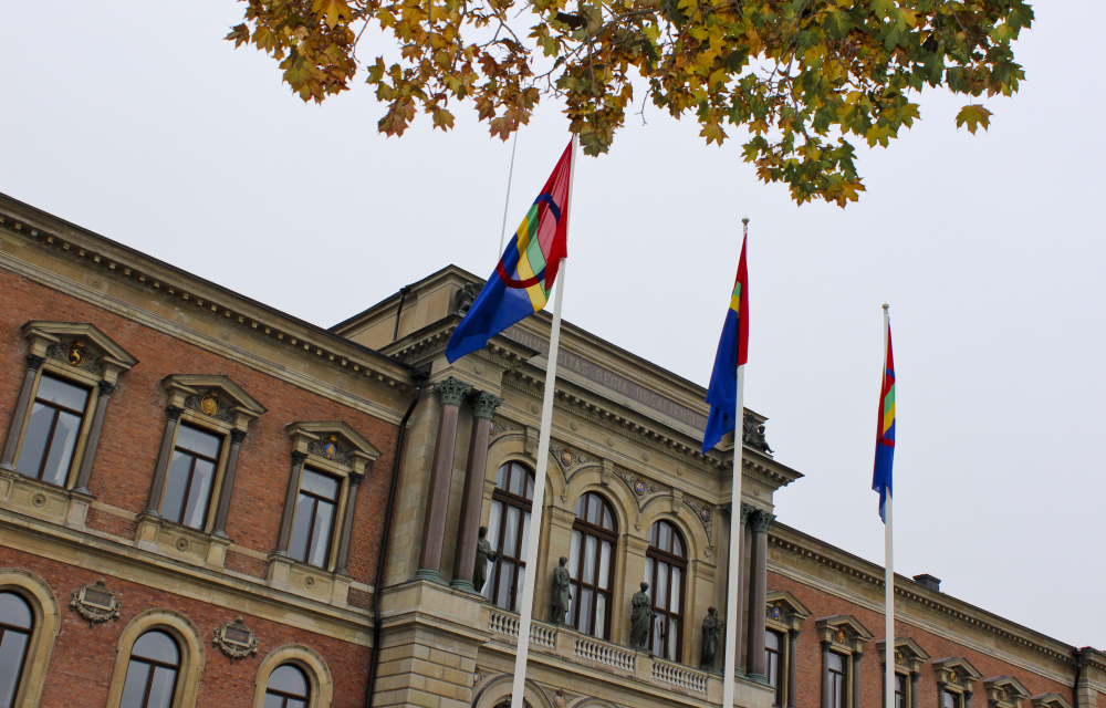 Nu vajar samiska flaggan | Ergo